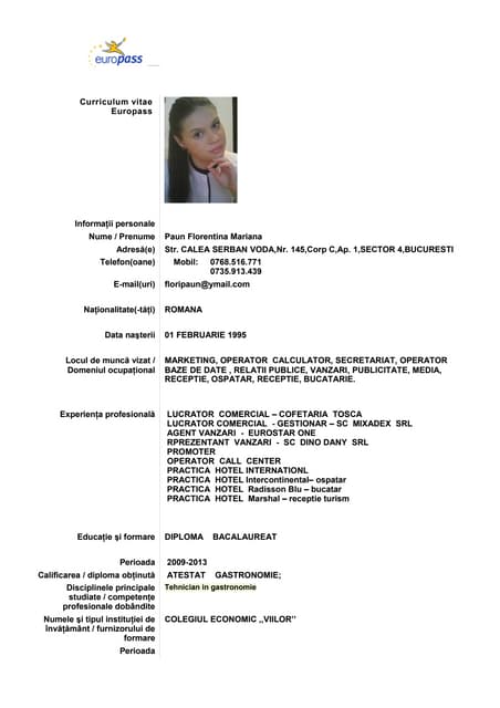 Model cv european (1) | DOC