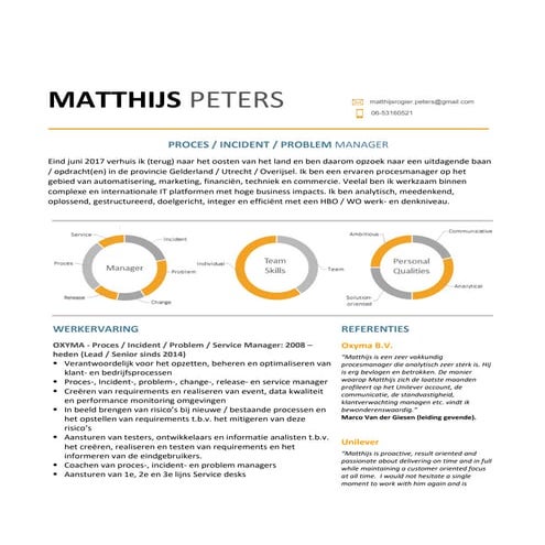 Cv mondy holten sap hcm open 8 01-2015