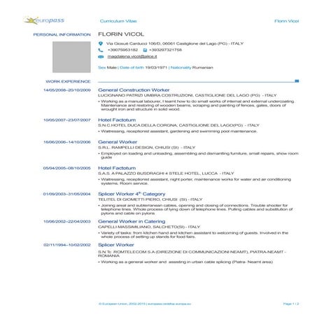 Cv florin vicol in inglese | PDF