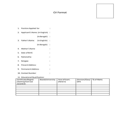 CV Format | DOCX