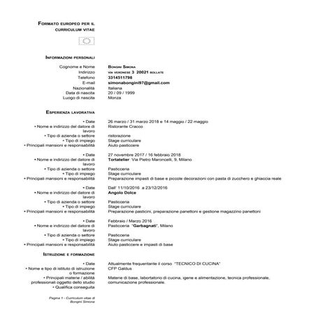 Cv formato | PDF