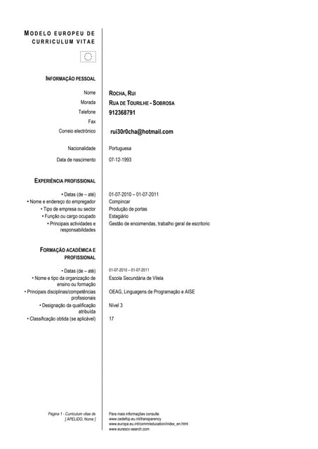 Modelo europeu de_curriculum_vitae_(2)-3.doc_final | PDF