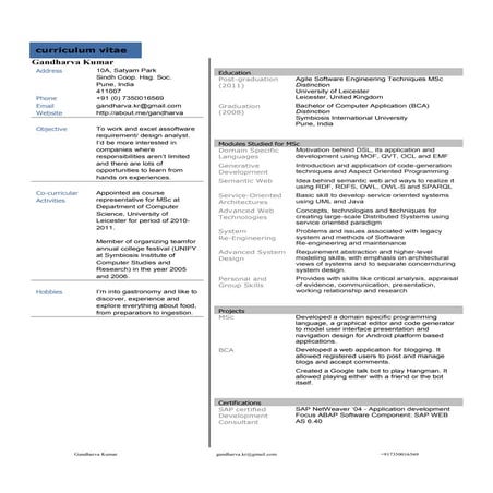 LUCKY RESUME1 | RTF
