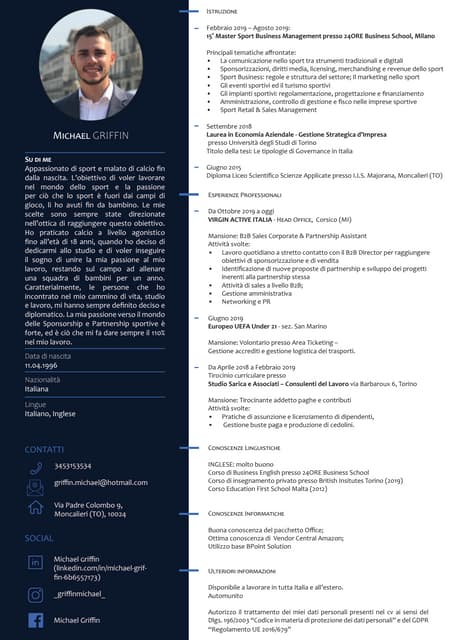 Cv Griffin Michael | PDF