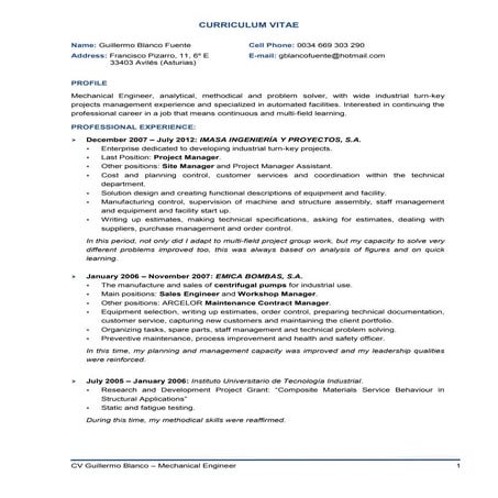 Cv Guillermo Blanco (English) | PDF