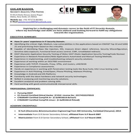 Cv gulam rasool | PDF