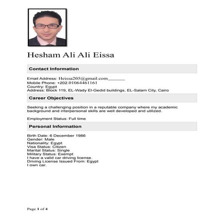 Resume(Befekadu Hailu) | DOC