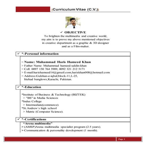 Cv haris hameed | DOCX