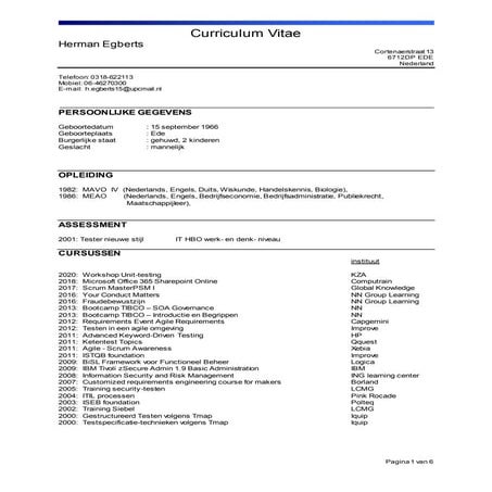 Cv herman egberts | DOC | Business | Business and Finance