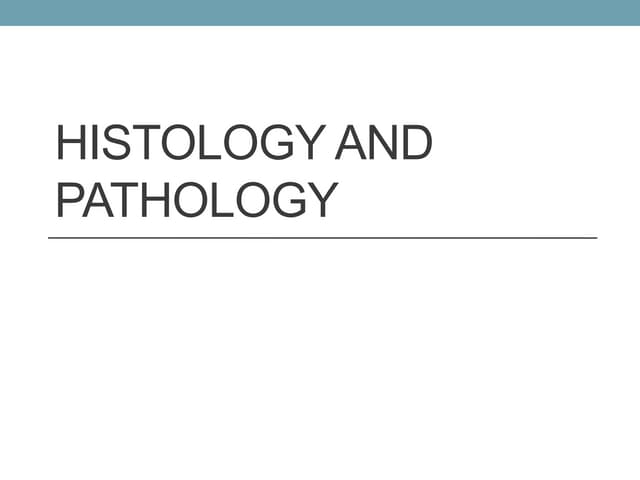 Histology Of Cardiovascular System Ppt