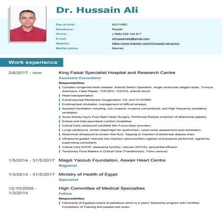 Cv hussain ali | PDF