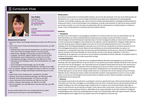 Curriculum vitae Len Heezemans | DOCX | Business | Business and Finance