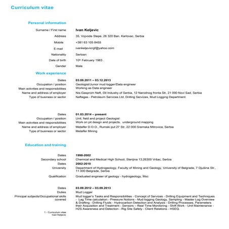 Cv, ivan keljevic | PDF