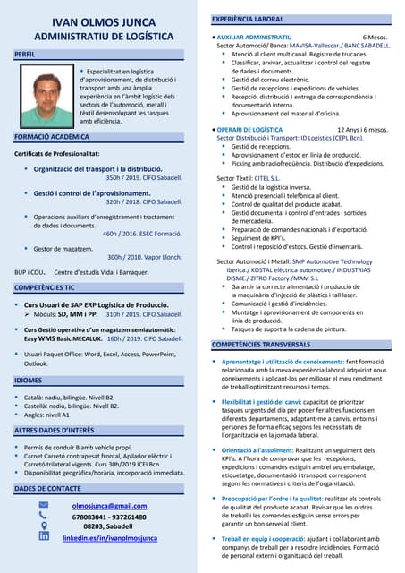 CV Ivan Olmos Junca | PDF
