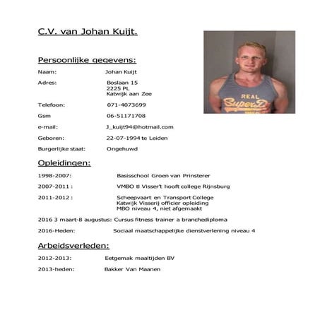 Cv johan kuijt | PDF