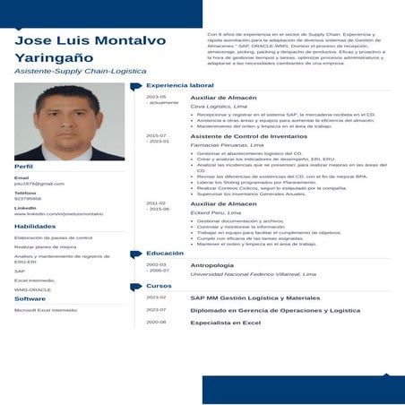 CV Jose Luis Montalvo.pdf