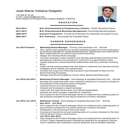 Cv Jose Maria Valseca Delgado | PDF