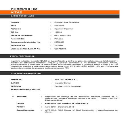 Cv josé silva linkedin | PDF