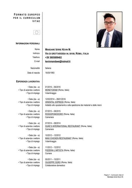 Curriculum Daniele Rina | PDF