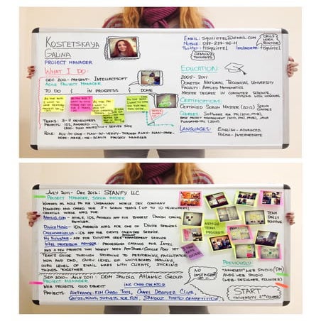 My 2012 Funny CV | PDF