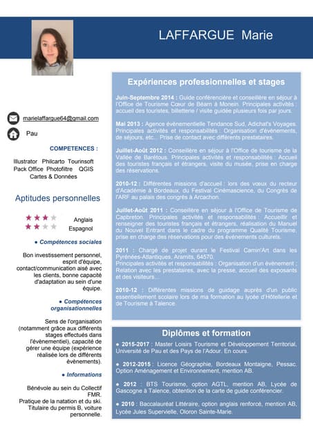 JJ SCHEEPERS CV | PDF
