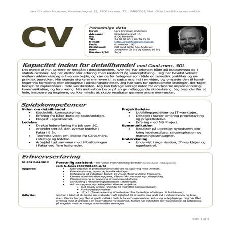 CV LinkedIn | PDF