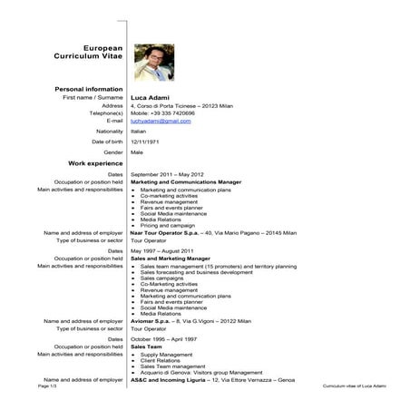 Curriculum Luca Adami | PDF