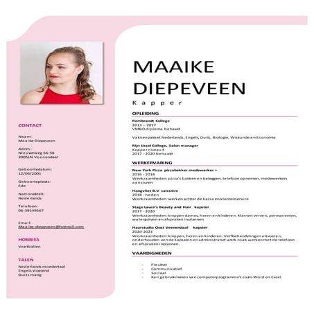 Cv maaike | PDF