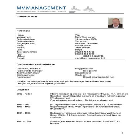 Cv Mark Vaal Q1 2010 | DOC