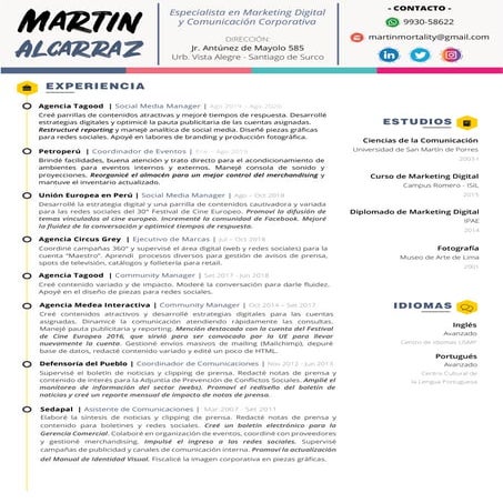 CV Martin Alcarraz | PDF