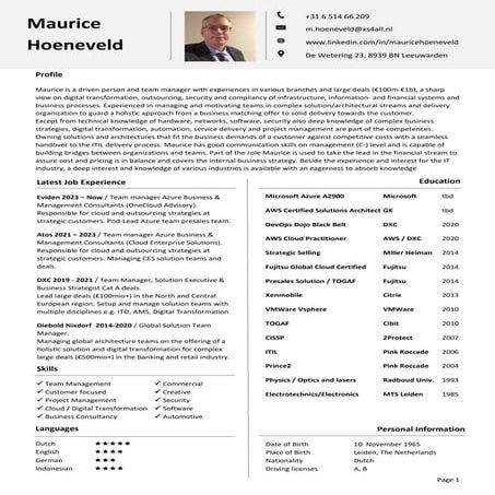 Curriculum vitae Maurice Hoeneveld January 2024 | PDF