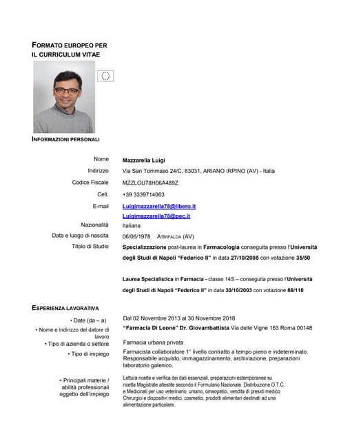 CURRICULUM ANTOINE LINKEDIN | PDF