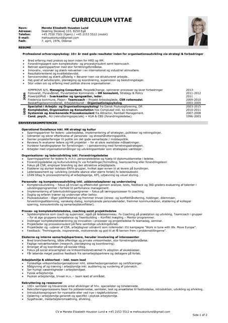 Emil Sydendal Hansen, Moment High Performers | PDF