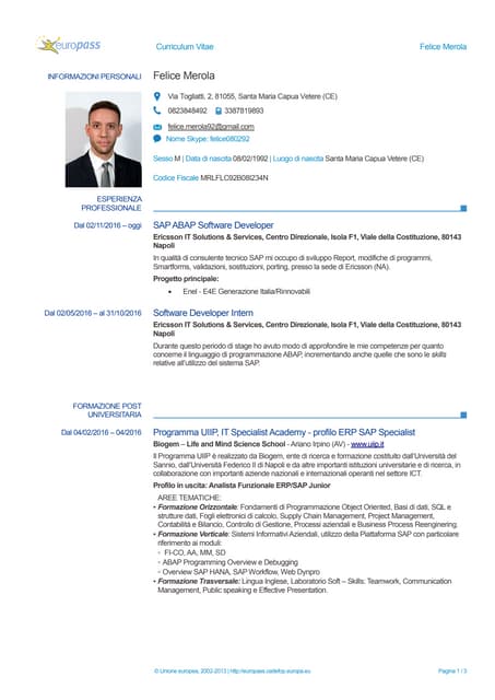 Simone massaro cv | PDF