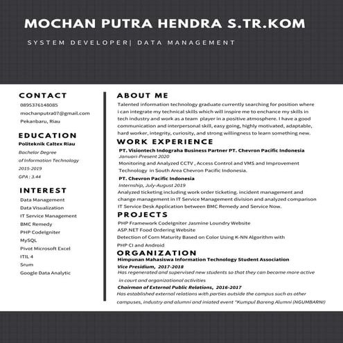 Cv mochan putra | PDF