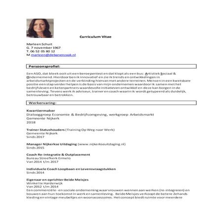 CV m schuit | PDF