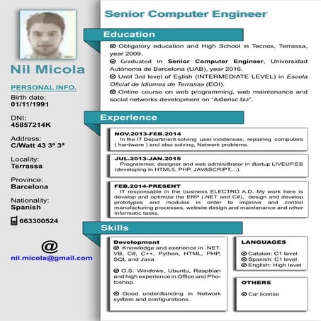 English resume profile | PDF
