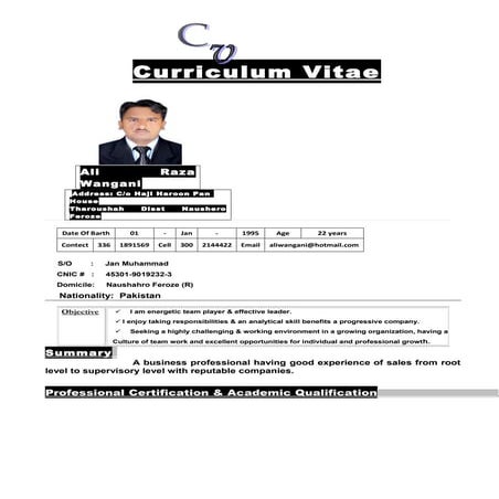 Cv of ali raza wangani 2017 | DOC