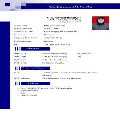 Cv okta sabridal hayati, se | PDF