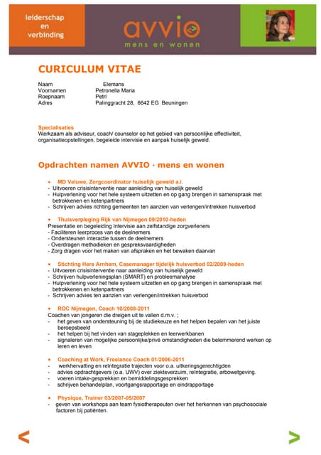 Cv frank marcel de visser | PDF