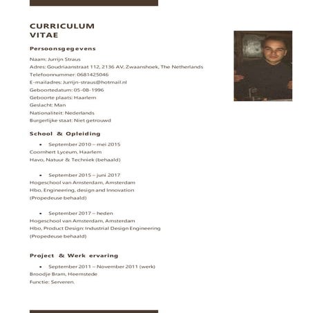 Curriculum Vitae (CV) | PDF