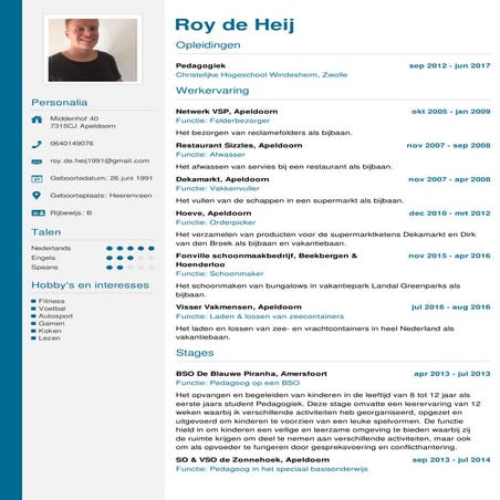 Cv Roy de Heij | PDF