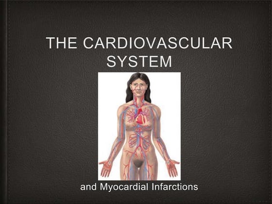 Cardiovascular System Powerpoint-Anatomy | PPT