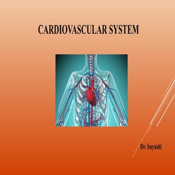 Anatomy of the Cardiovascular system | PPTX