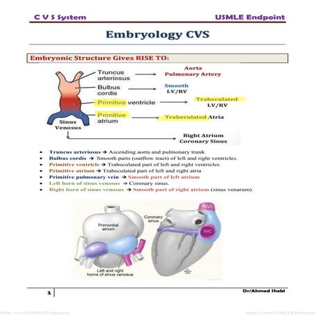 CVS.pdf