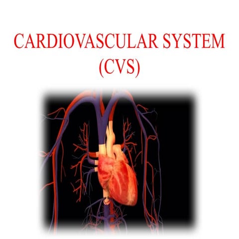 Cardio vascular system of a human body | PPTX