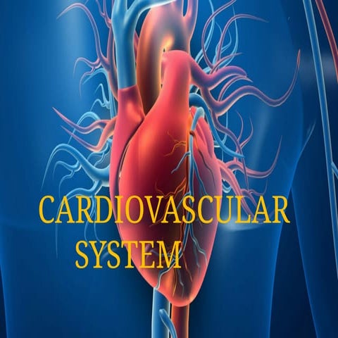 Cardiovascular system introduction pesentation | PPT