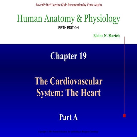 CVS- heart cardiovascular system Anat.ppt