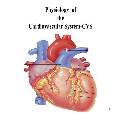 CVS-Physiology.power point fo HO students | PPTX
