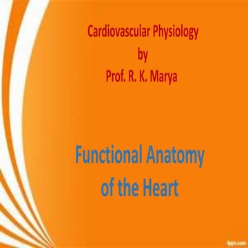 Cvs 1. functional anatomy | PPTX